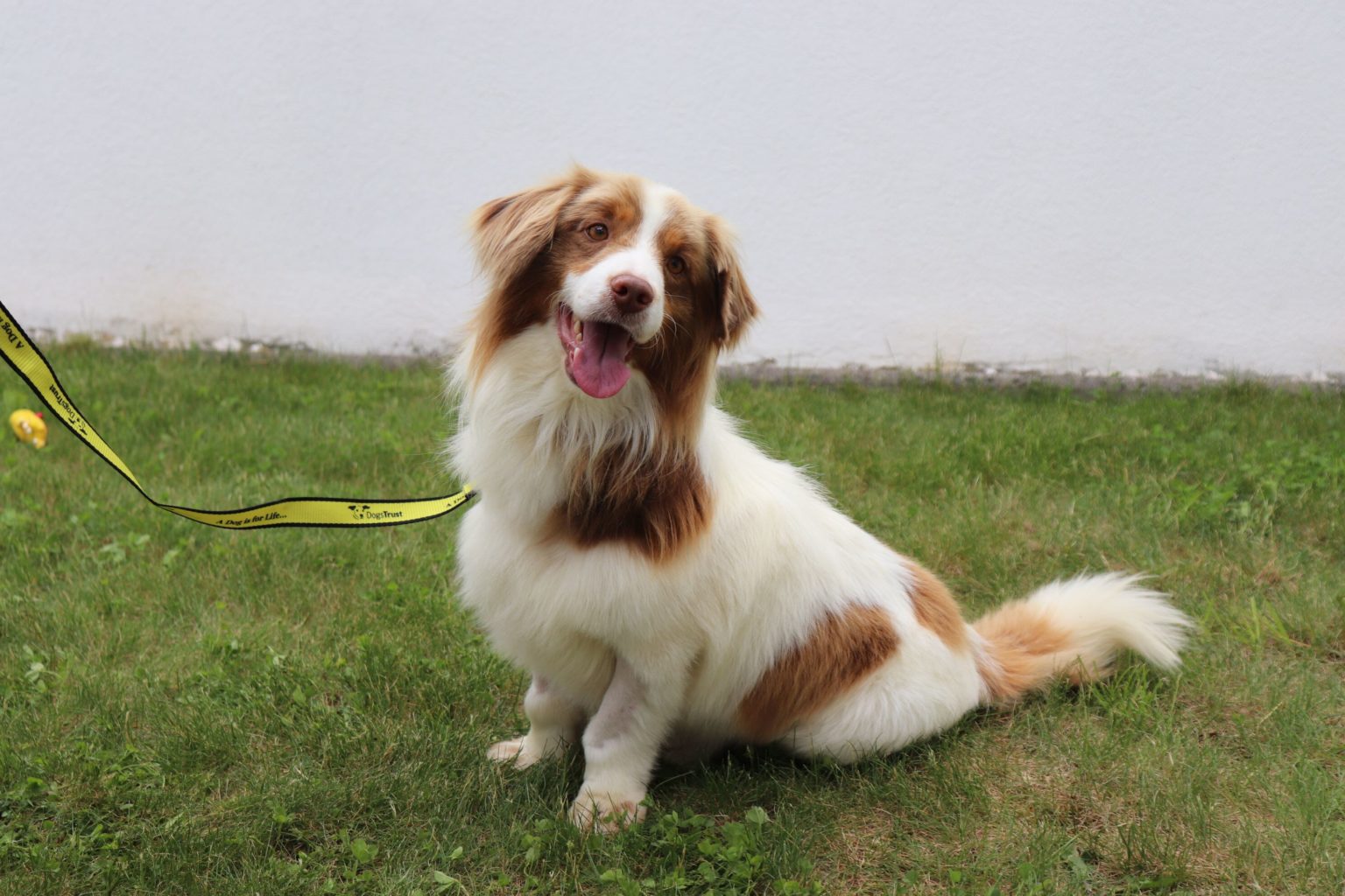 Provođenje i poštovanje zakona ključno je za sigurnost i dobrobit i ...