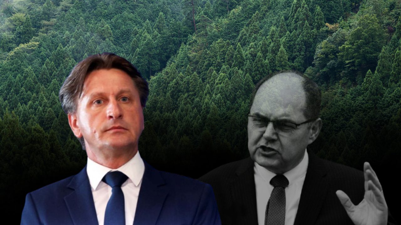 Schmidt mora reagovati HITNO! Emrić: "Ako Schmidt nametne odluku ...